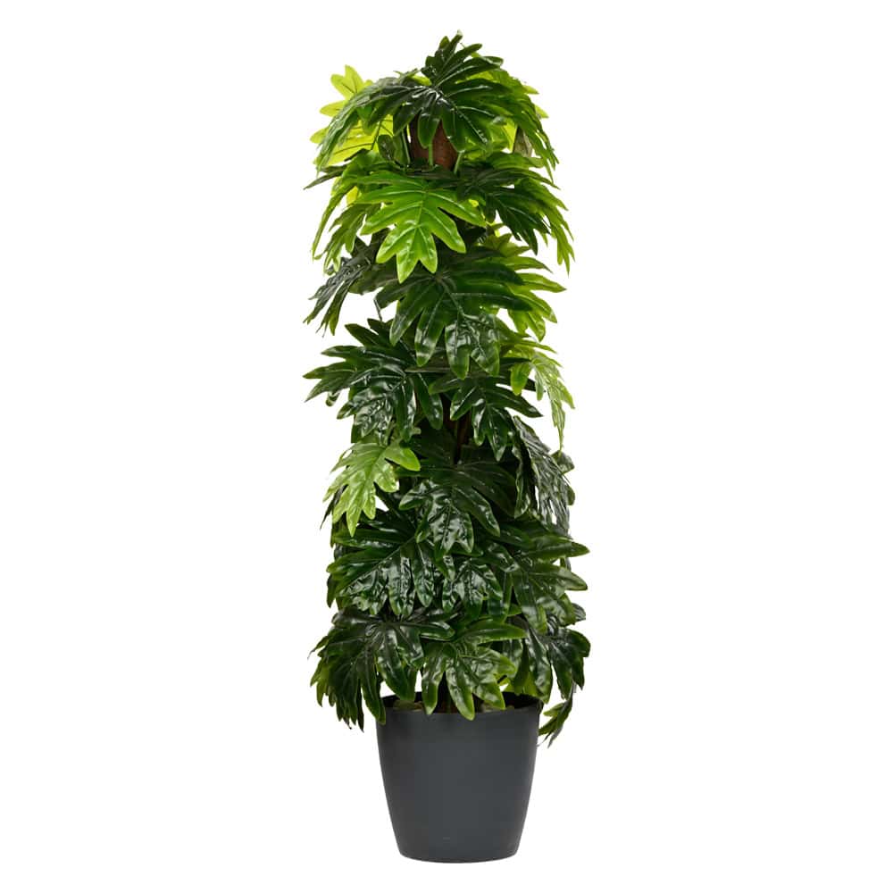 Plant Art Ap N443 - ABACA