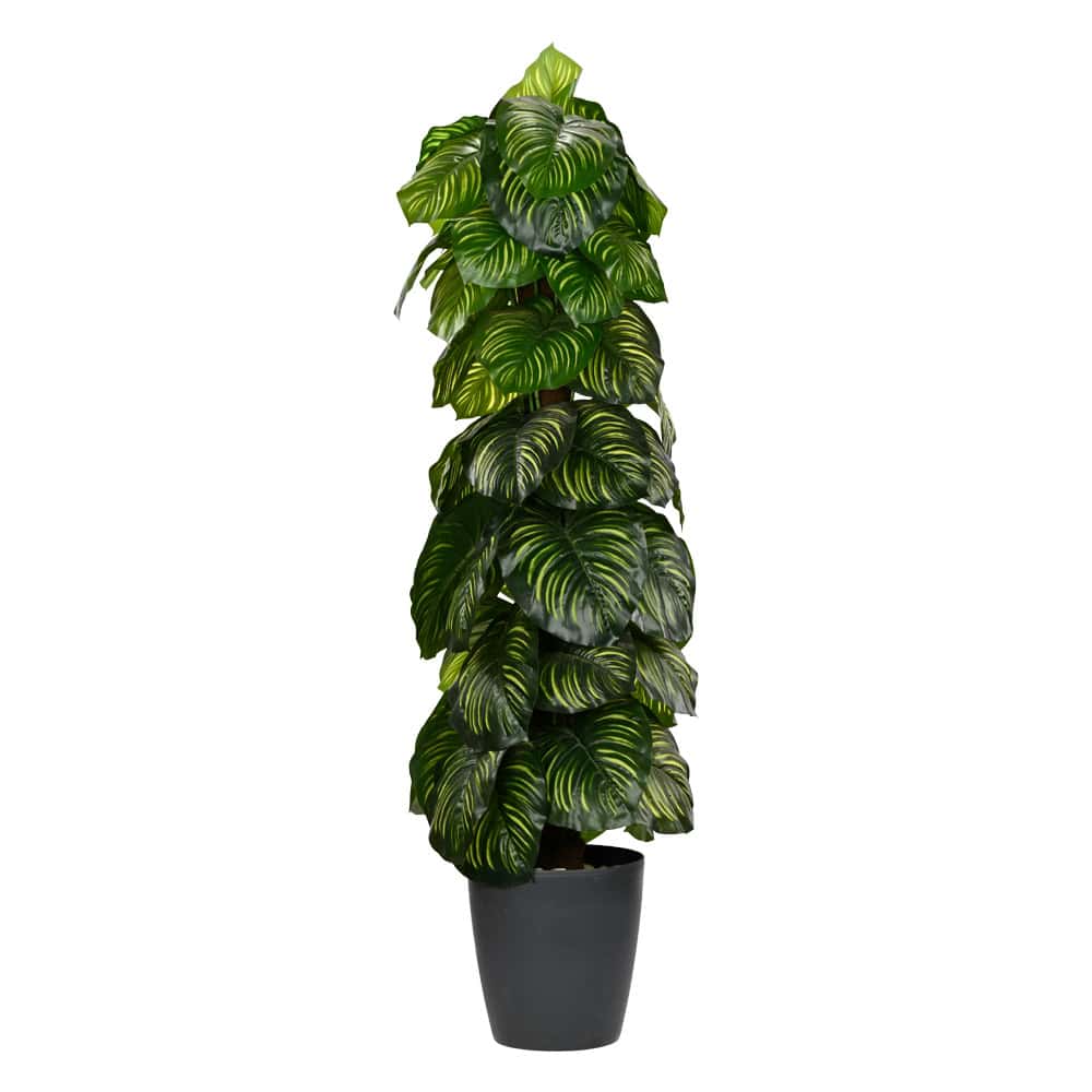 Plant Art Ap N443 - ABACA
